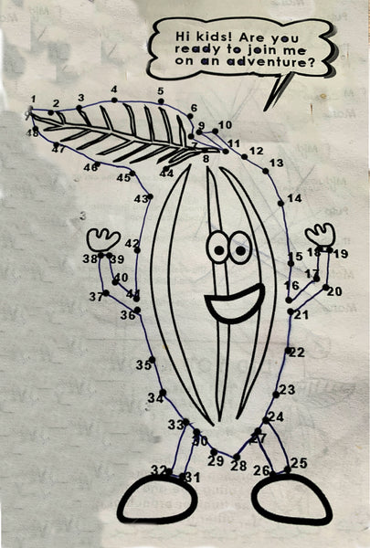 The Journey of Mr. Bean – Belize Chocolate Company